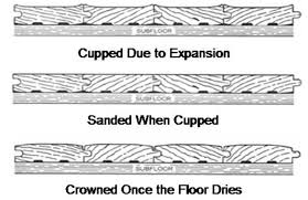 images | Dry-Tech Water Damage Restoration Services